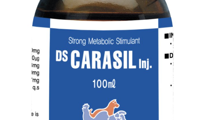 Carasil Inj - Công ty TNHH E.P.S Việt Nam